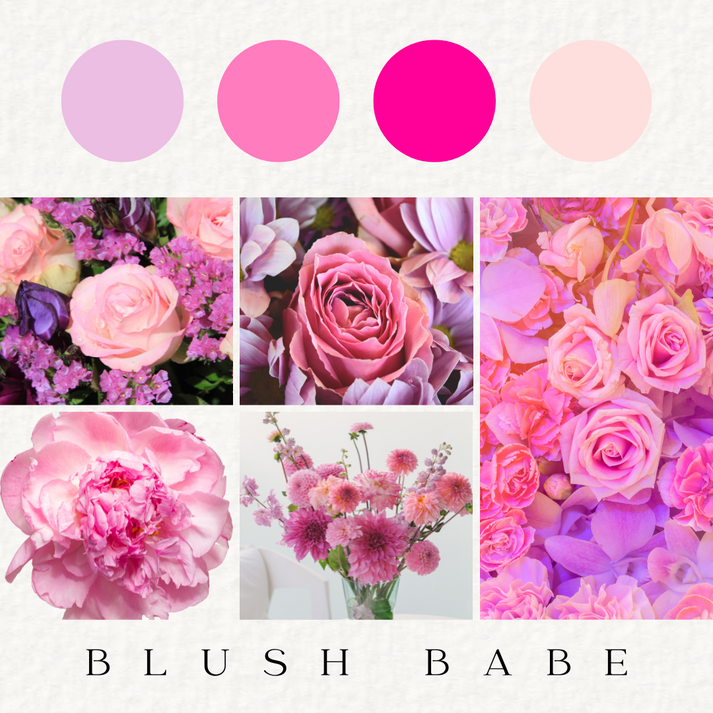 Blush Babe - Fresh Flowers – Fiorella Florals