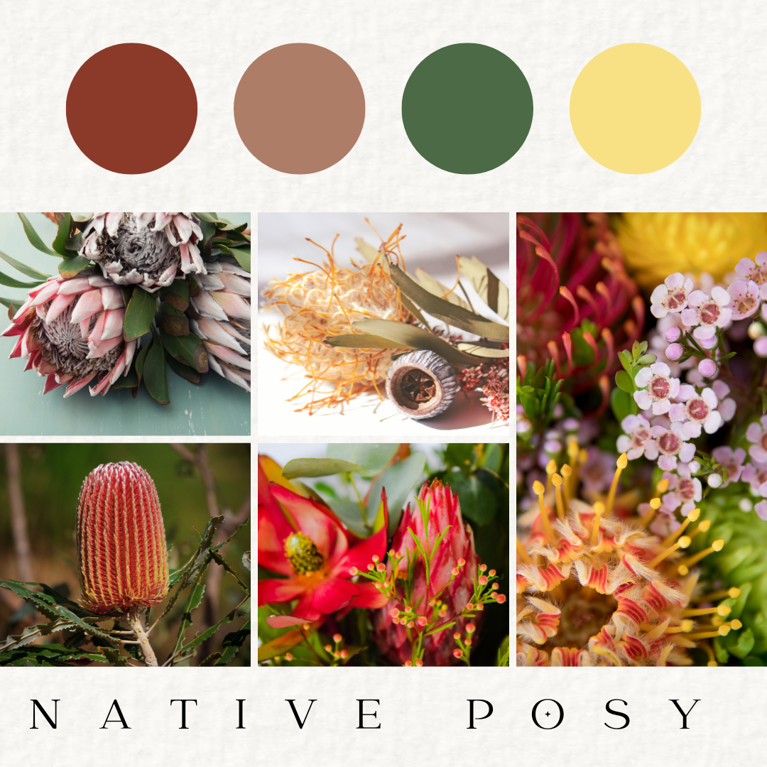 Native Posy - Fresh Flowers – Fiorella Florals