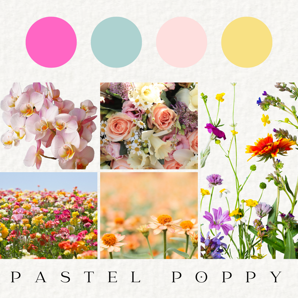 Pastel Poppy - Fresh Flowers – Fiorella Florals